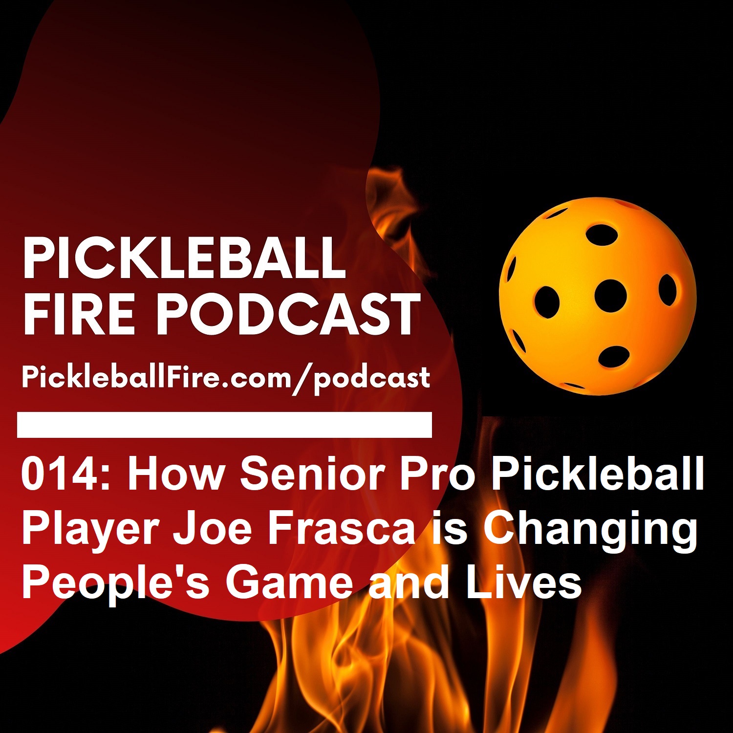 014: How Senior Pro Pickleball Player Joe Frasca is Changing People's ...