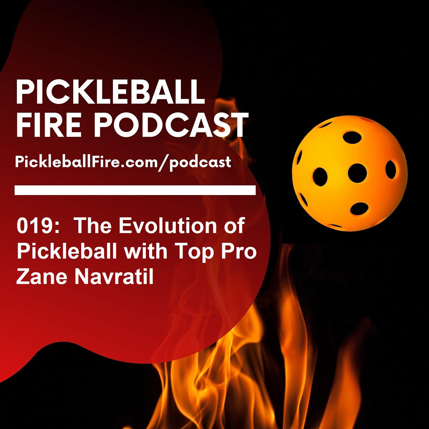019: The Evolution of Pickleball with Top Pro Zane Navratil ...