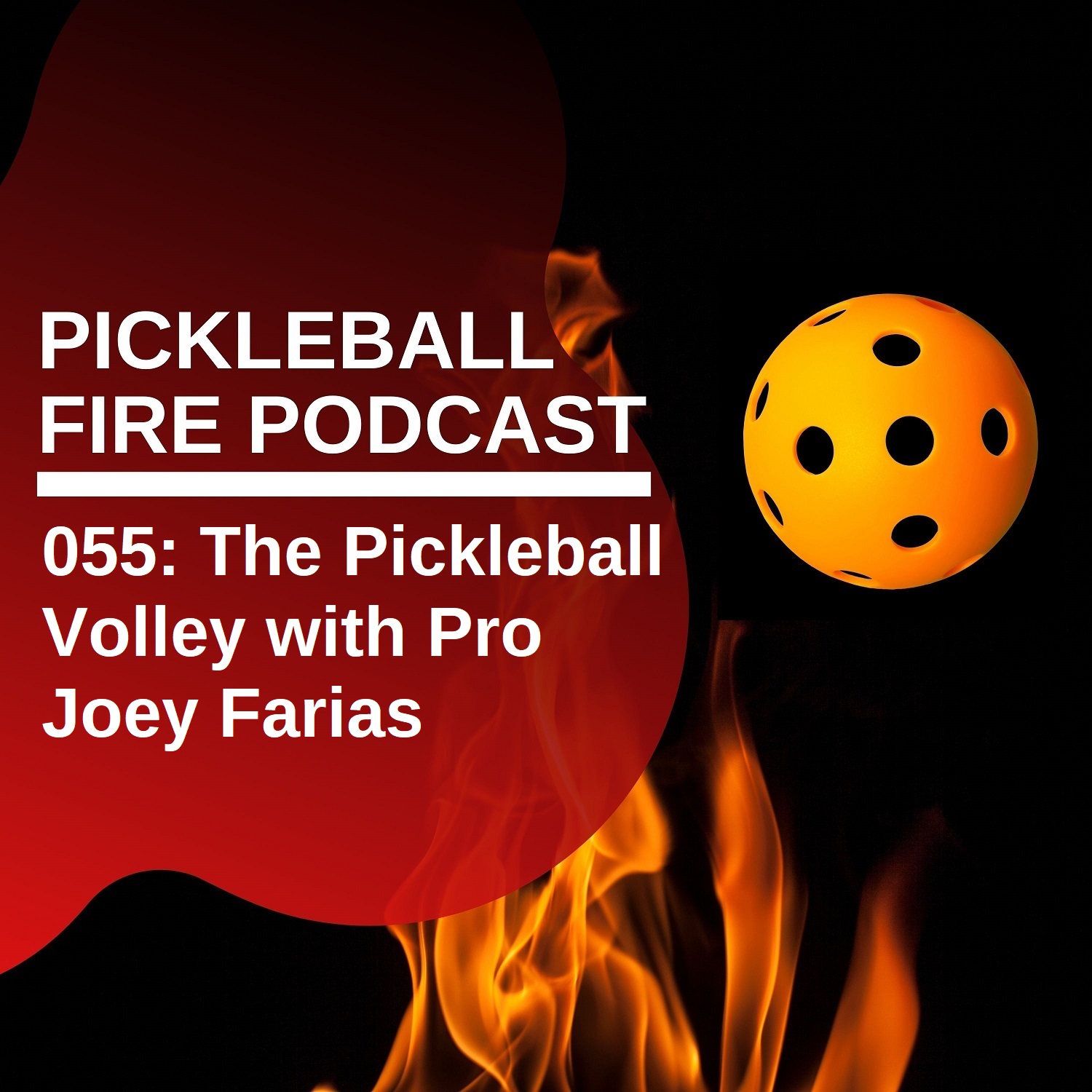 055: The Pickleball Volley with Pro Joey Farias - Pickleball Fire
